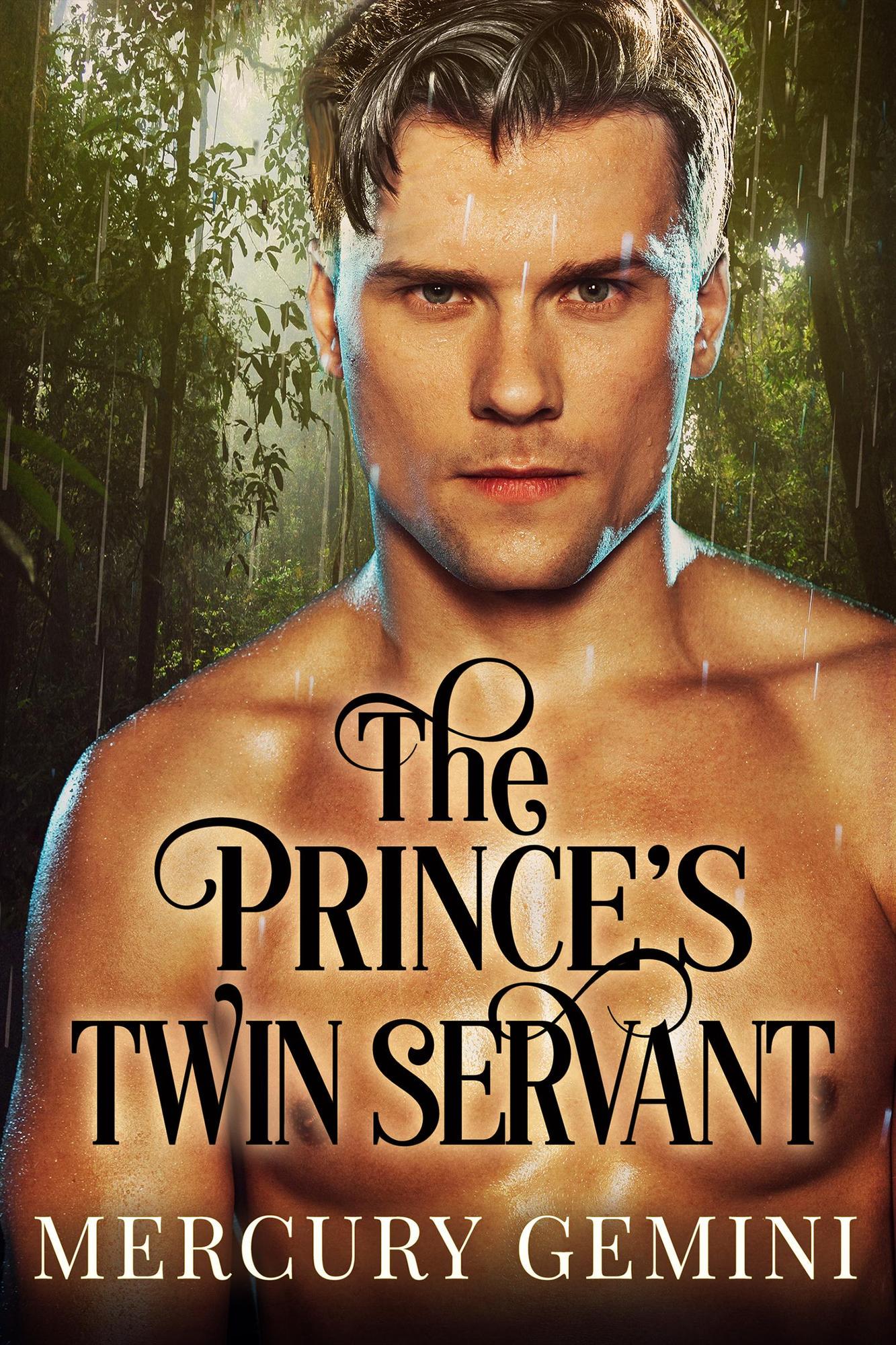 The Prince's Twin Servant by Mercury Gemini | Goodreads