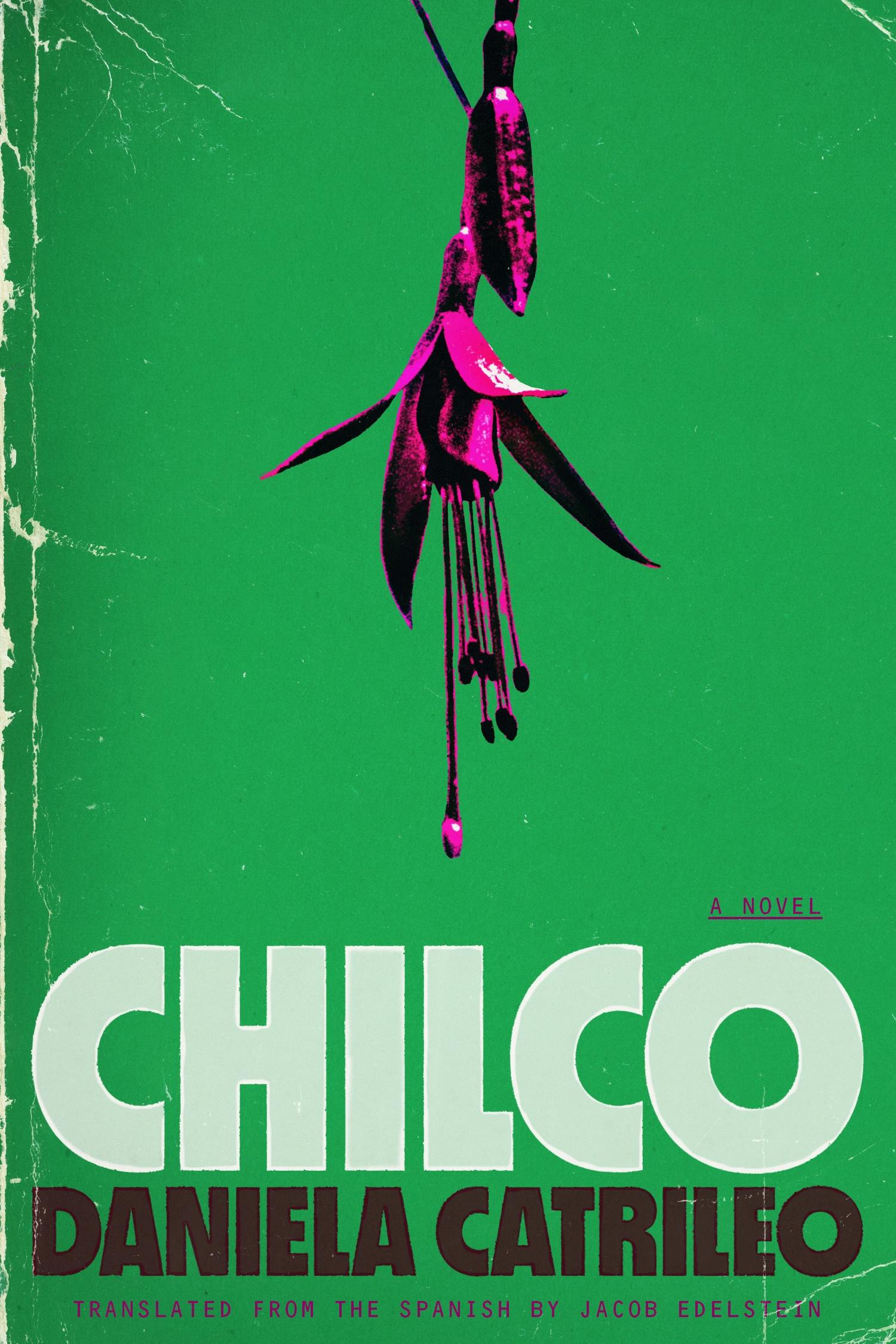 Chilco by Daniela Catrileo | Goodreads