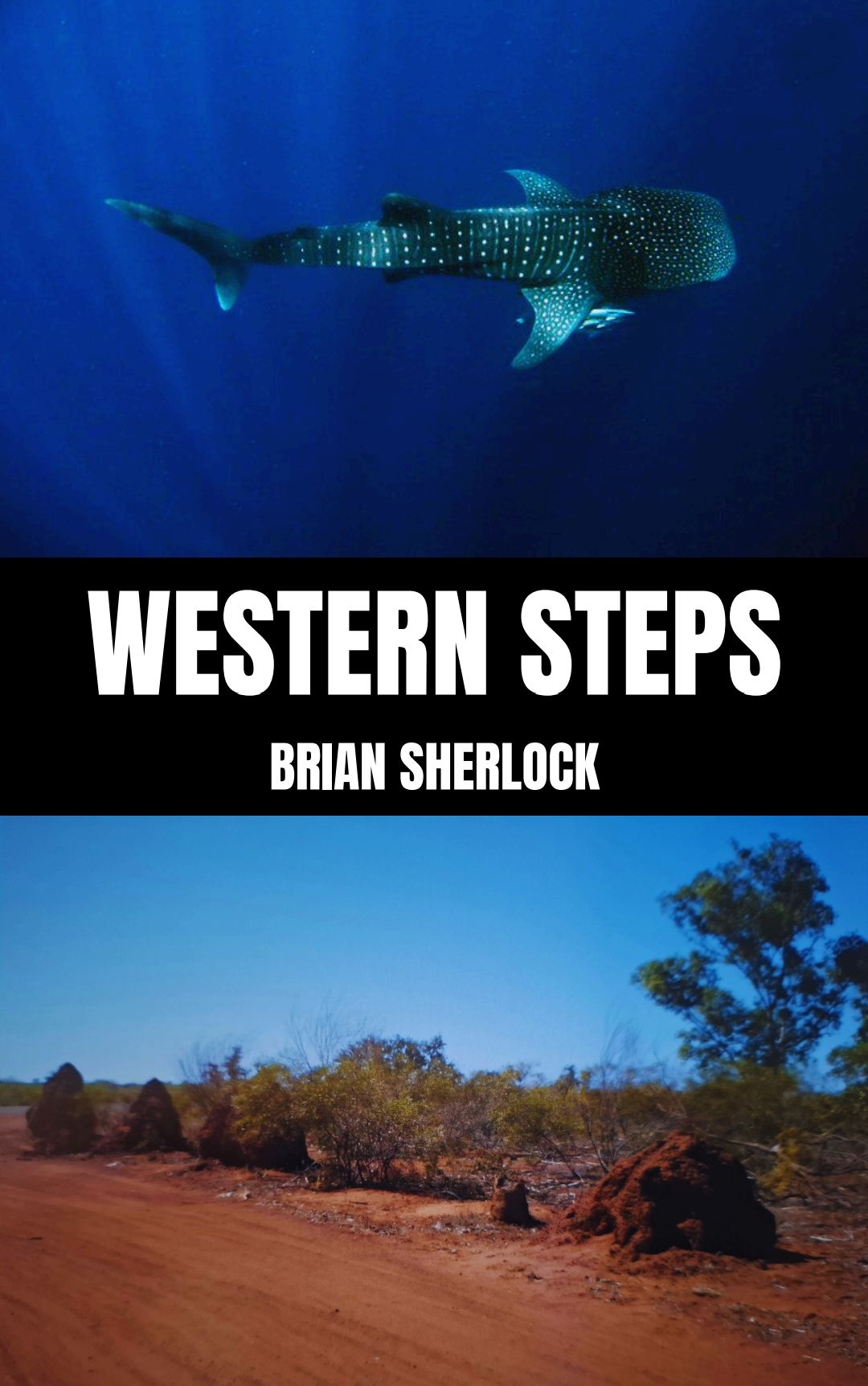 Western Steps by Brian Sherlock | Goodreads