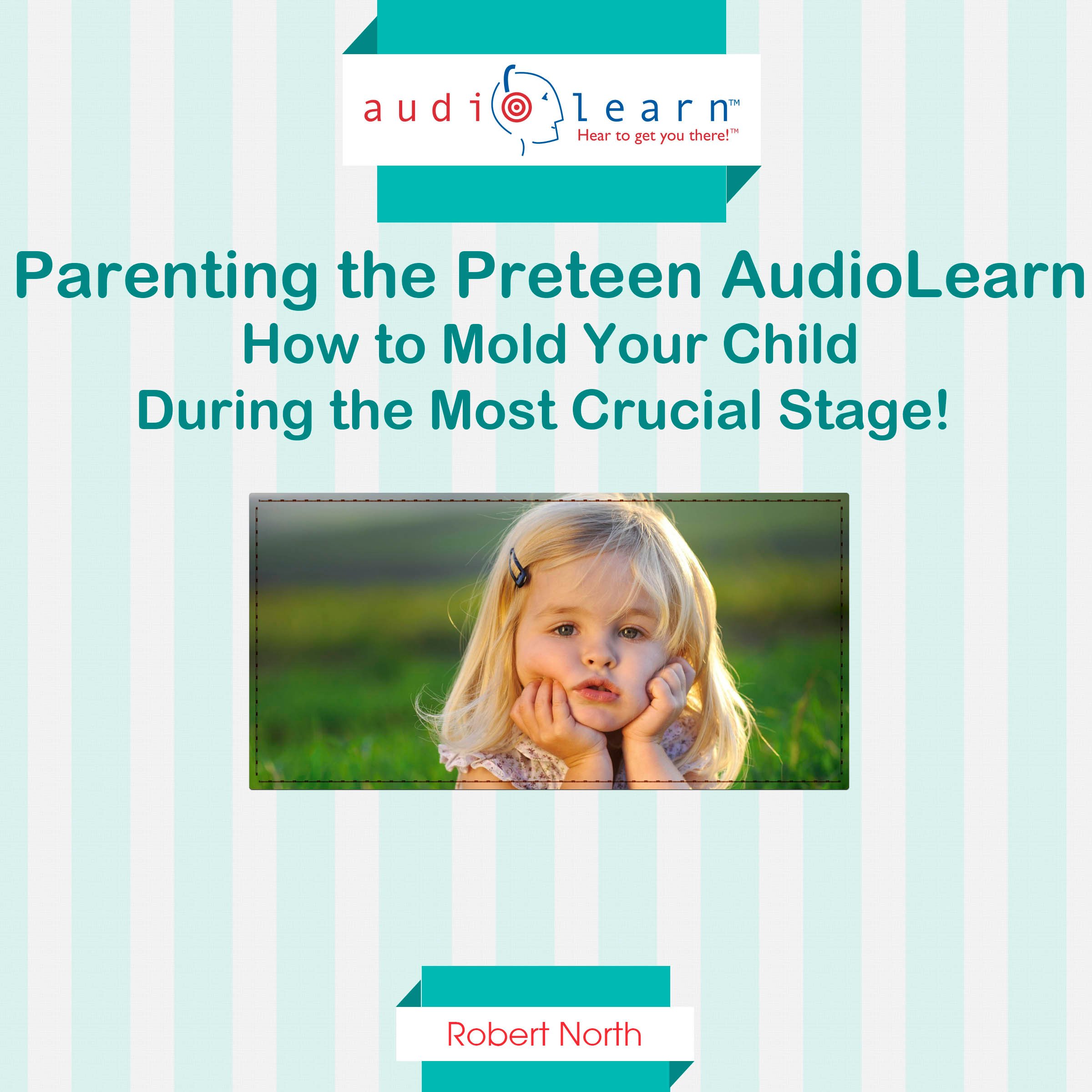 Parenting the Preteen: How to Mold Your Child During the Most Crucial ...