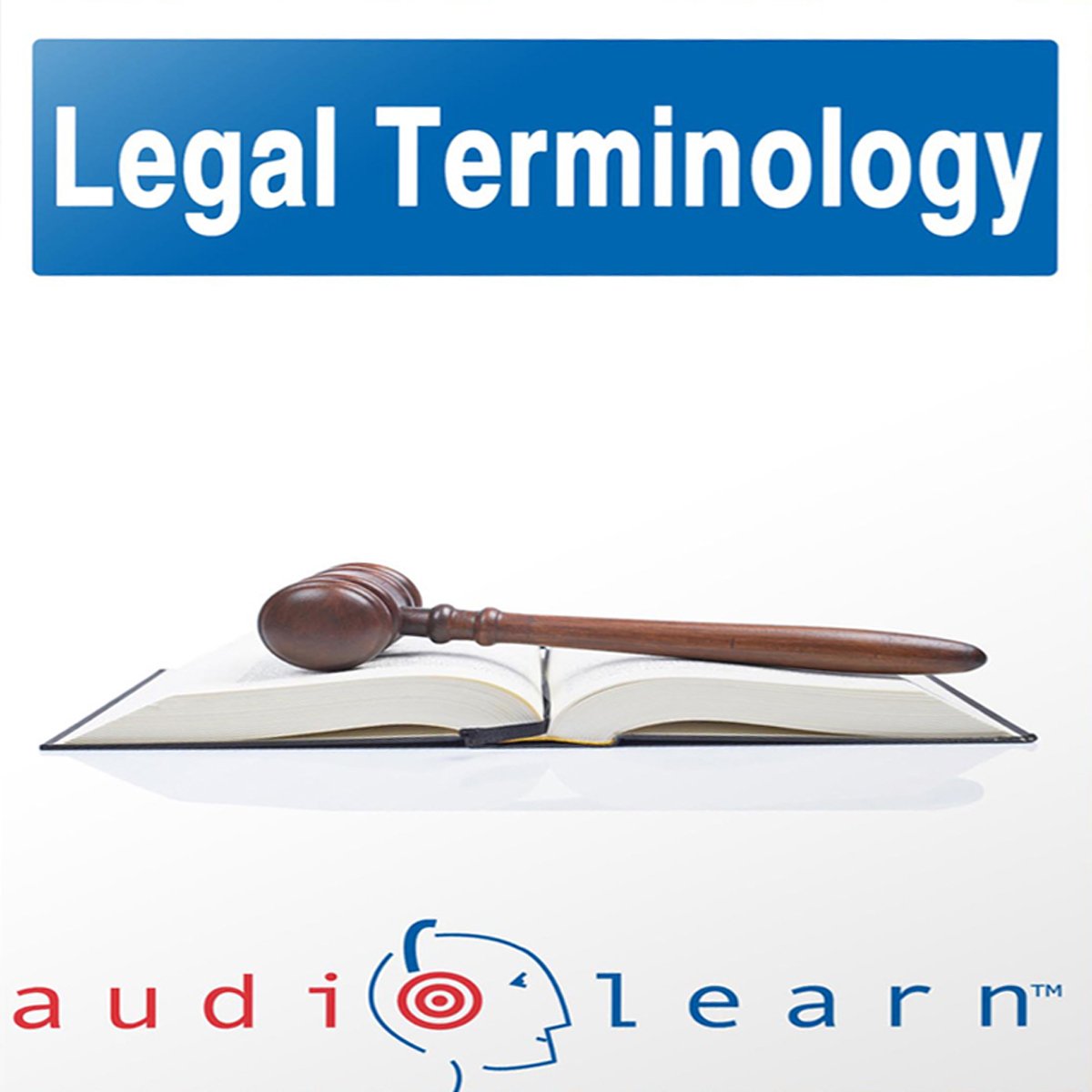 Legal Terminology: Top 500 Legal Terminology Words You Must Know! by ...