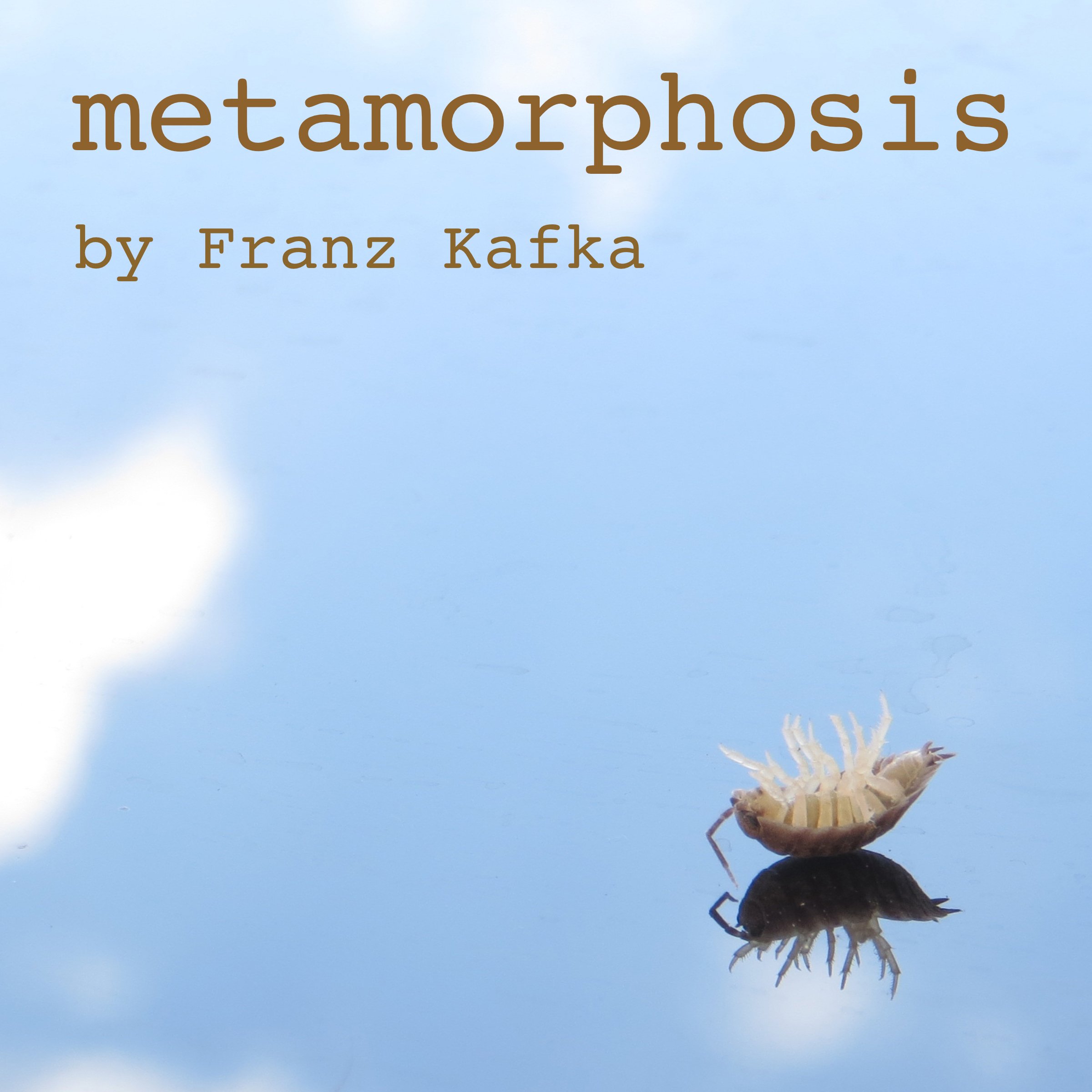 Metamorphosis by Franz Kafka | Goodreads