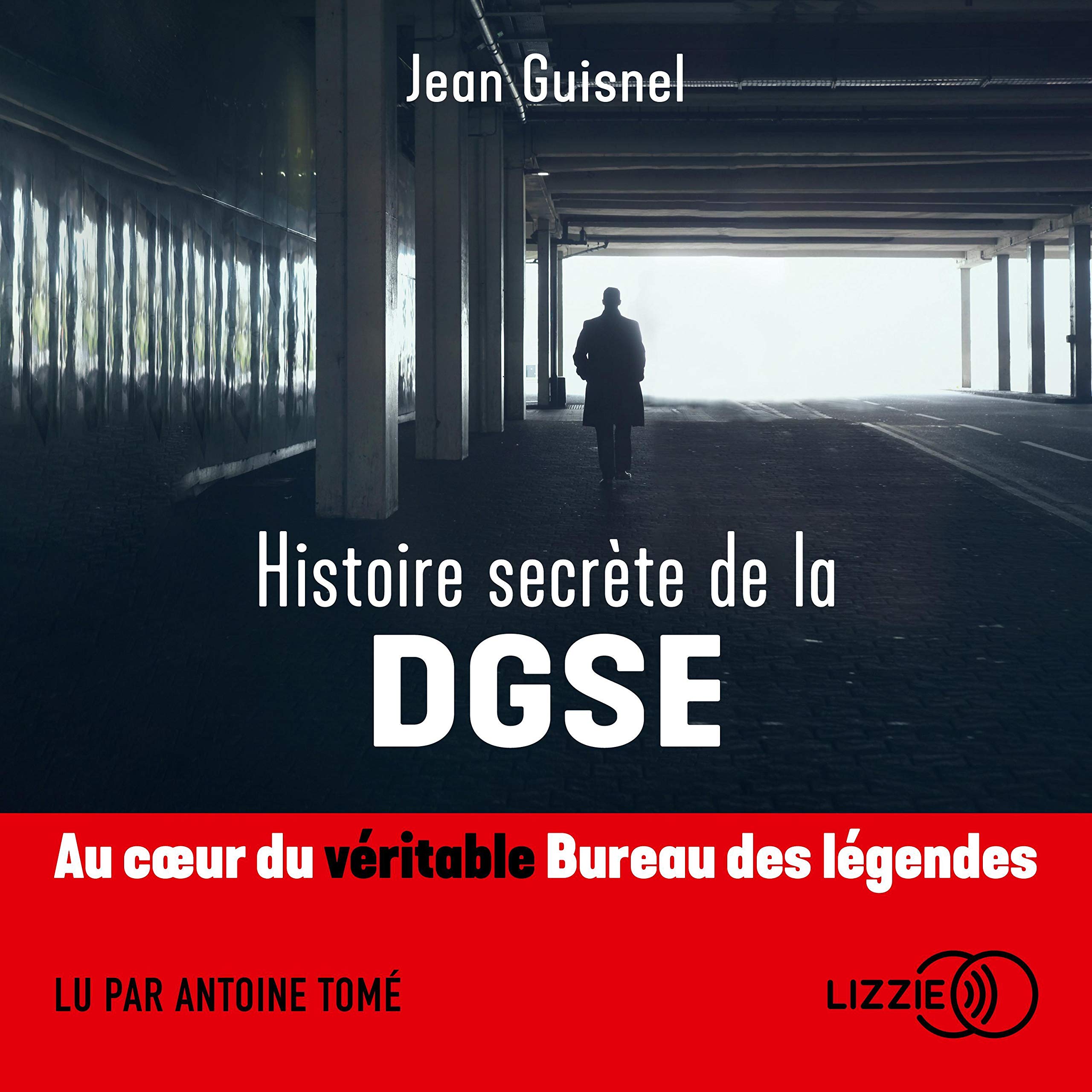 Histoire secrète de la DGSE by Jean Guisnel | Goodreads
