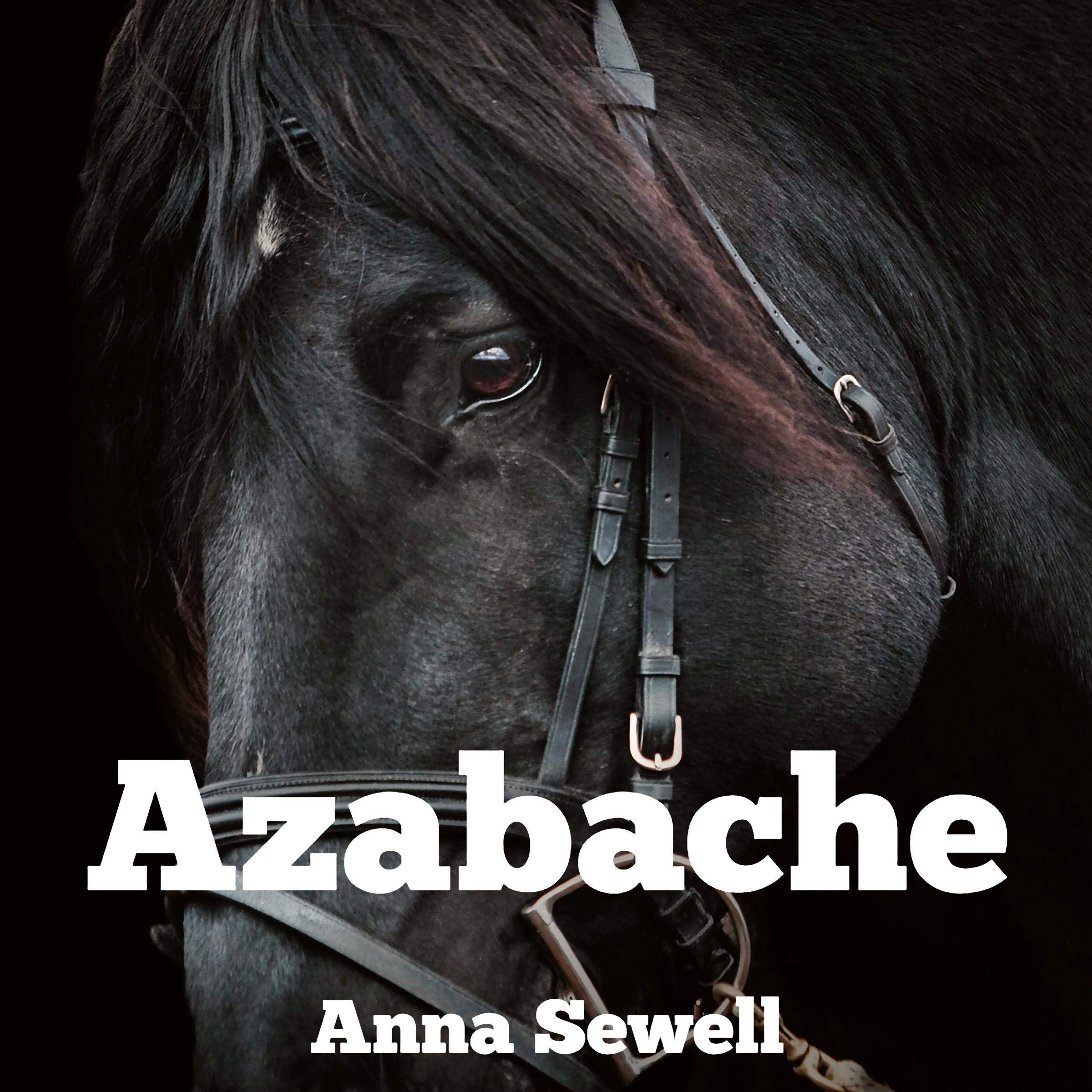 Azabache (Jet) by Anna Sewell | Goodreads