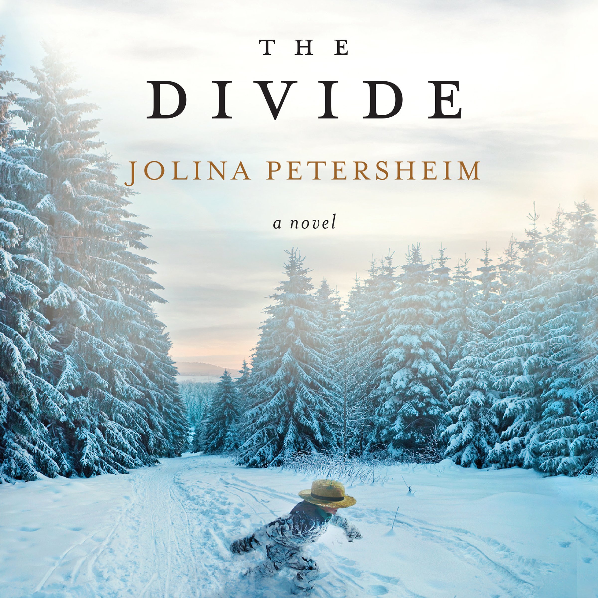 The Divide: A Novel by Jolina Petersheim | Goodreads