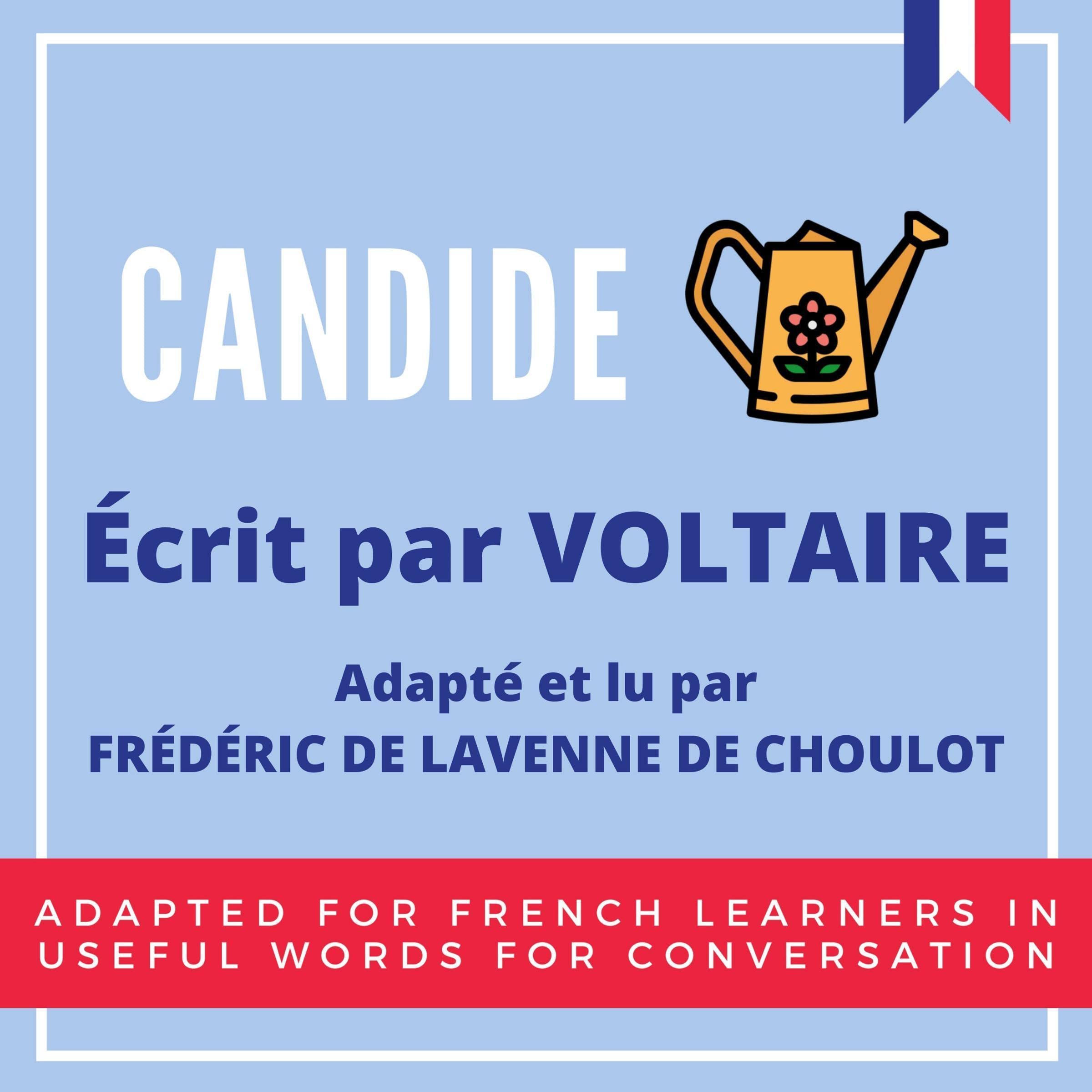 Improve Your French by Reading: Candide: Adapted for French Learners in ...