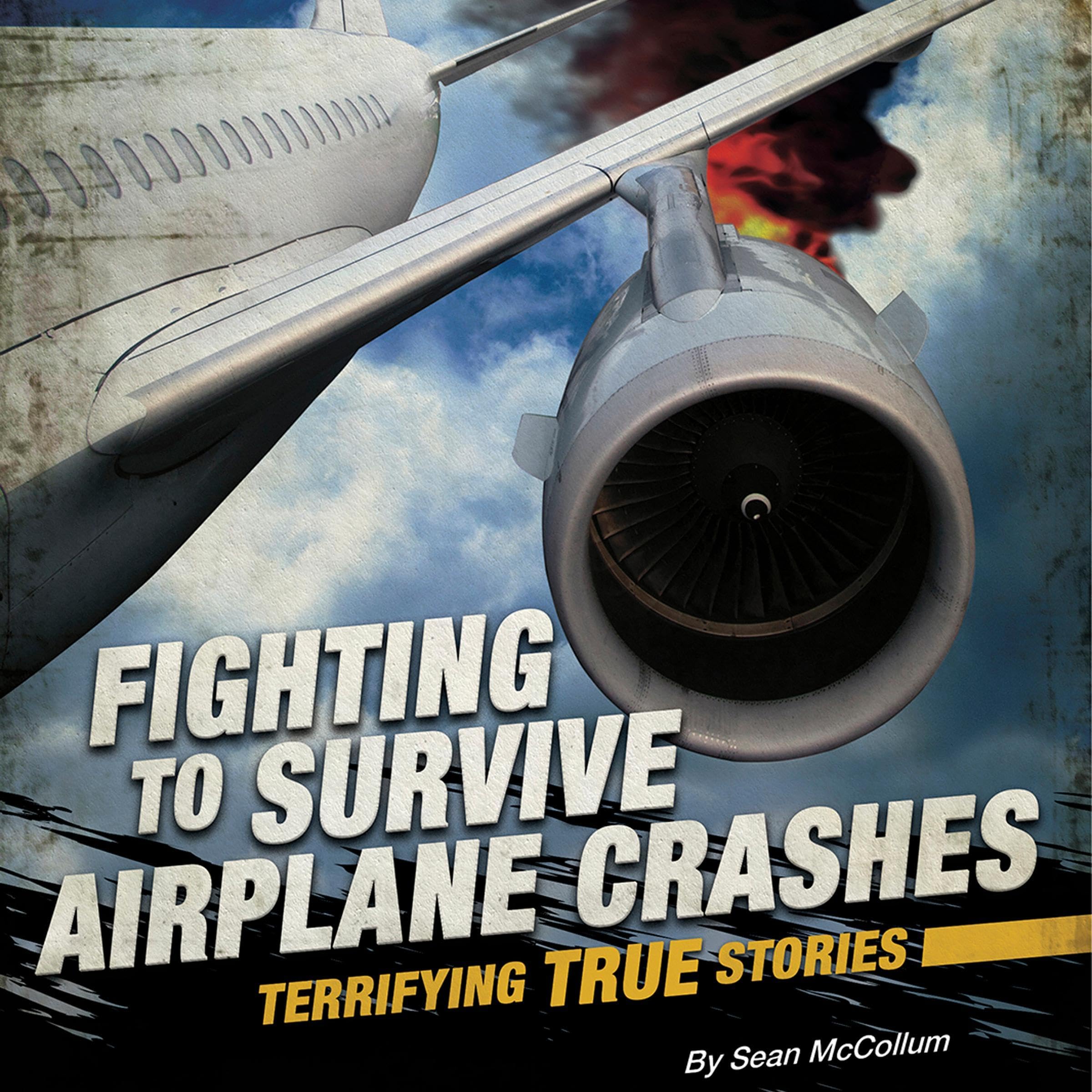 Fighting to Survive Airplane Crashes: Terrifying True Stories: Fighting ...