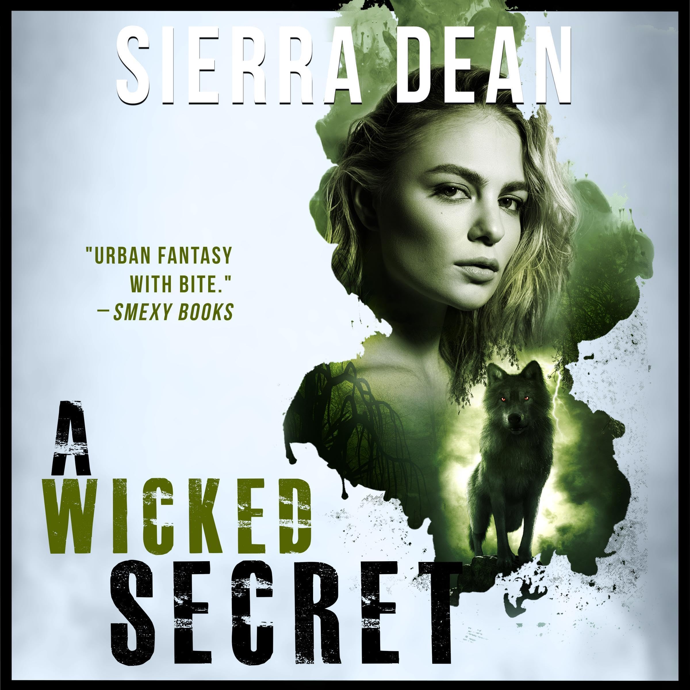 A Wicked Secret: Secret McQueen, Book 10 by Sierra Dean | Goodreads