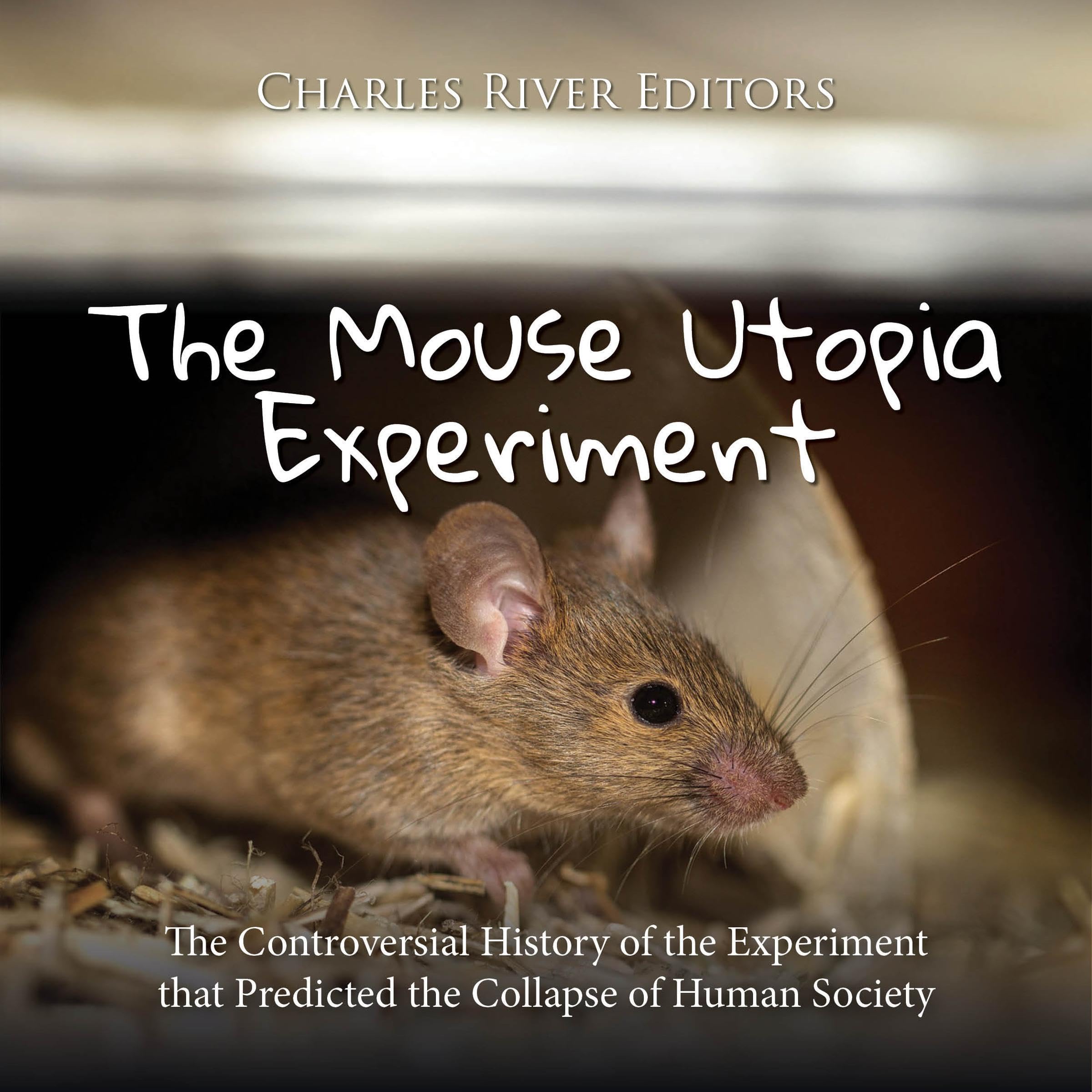 The Mouse Utopia Experiment: The Controversial History of the Experiment That Predicted the ...