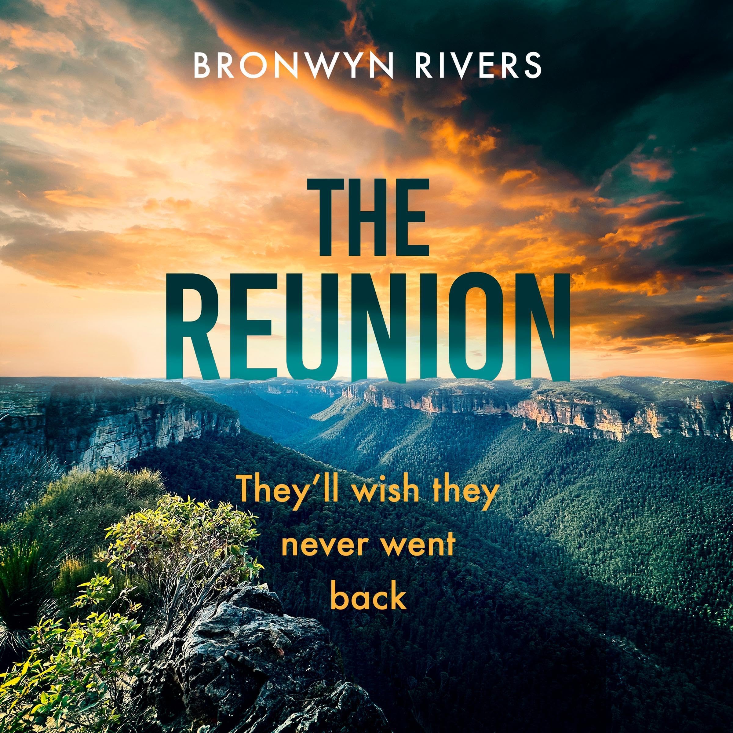 The Reunion by Bronwyn Rivers | Goodreads
