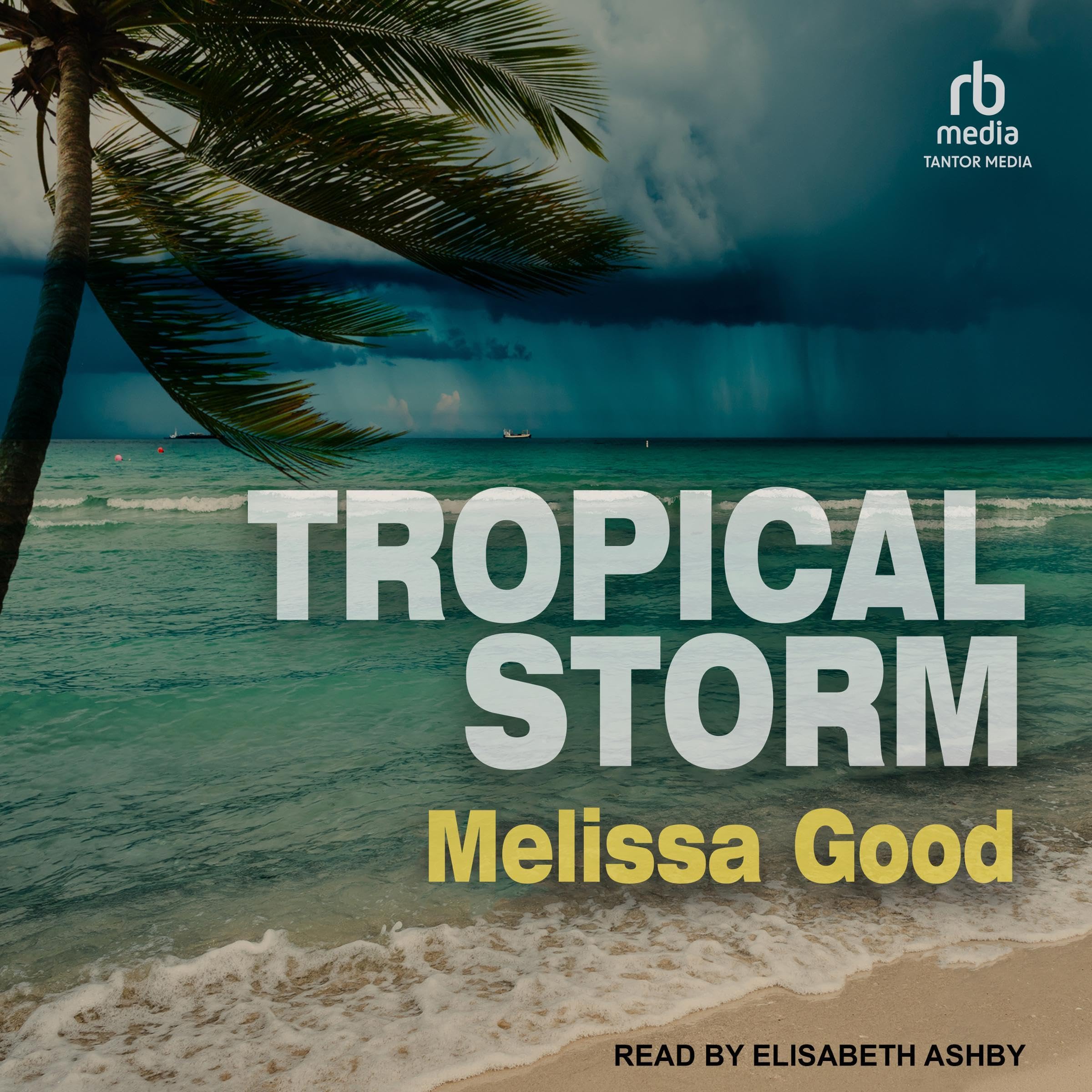 Tropical Storm: Dar & Kerry Series, Book 1 by Melissa Good | Goodreads