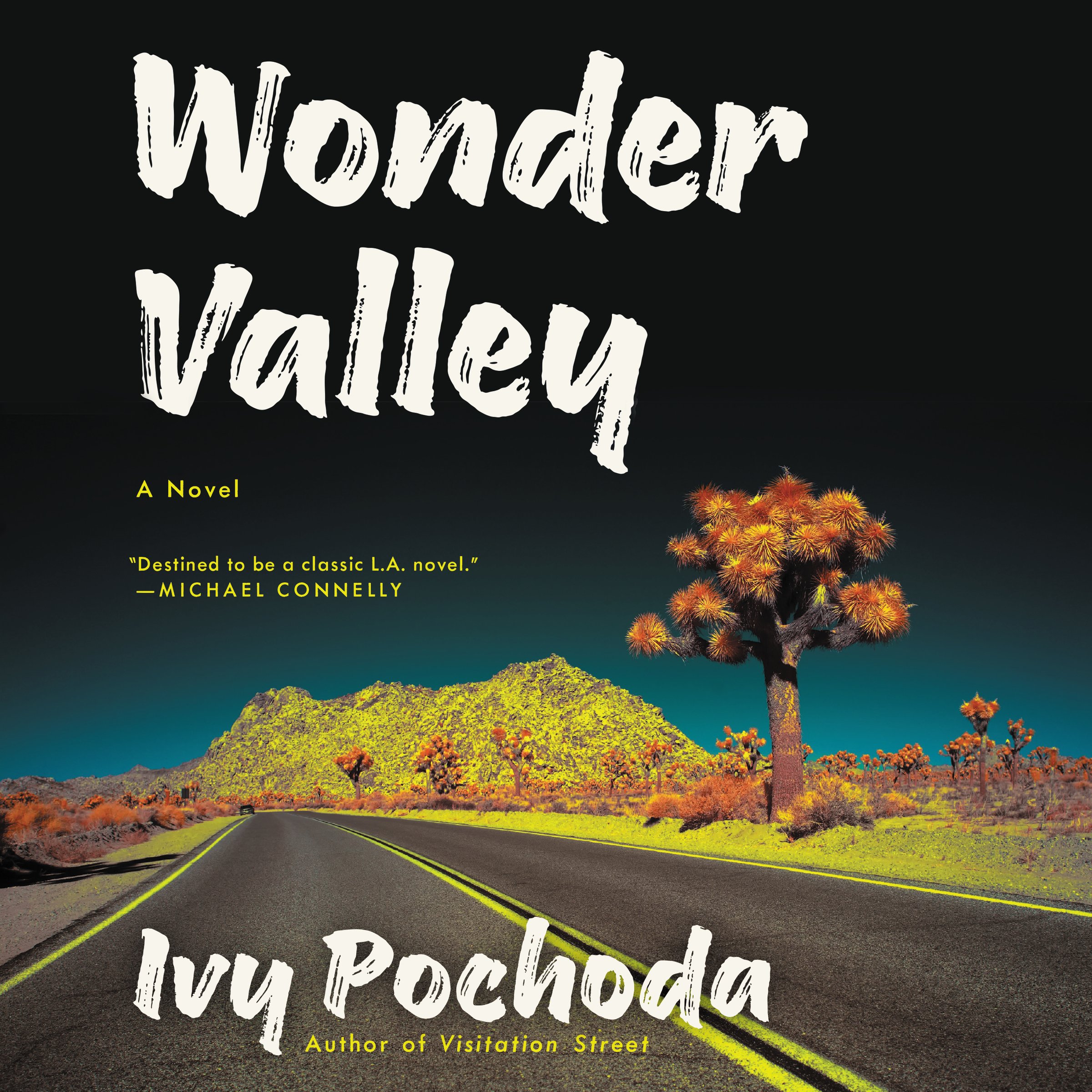 Wonder Valley: A Novel by Ivy Pochoda | Goodreads