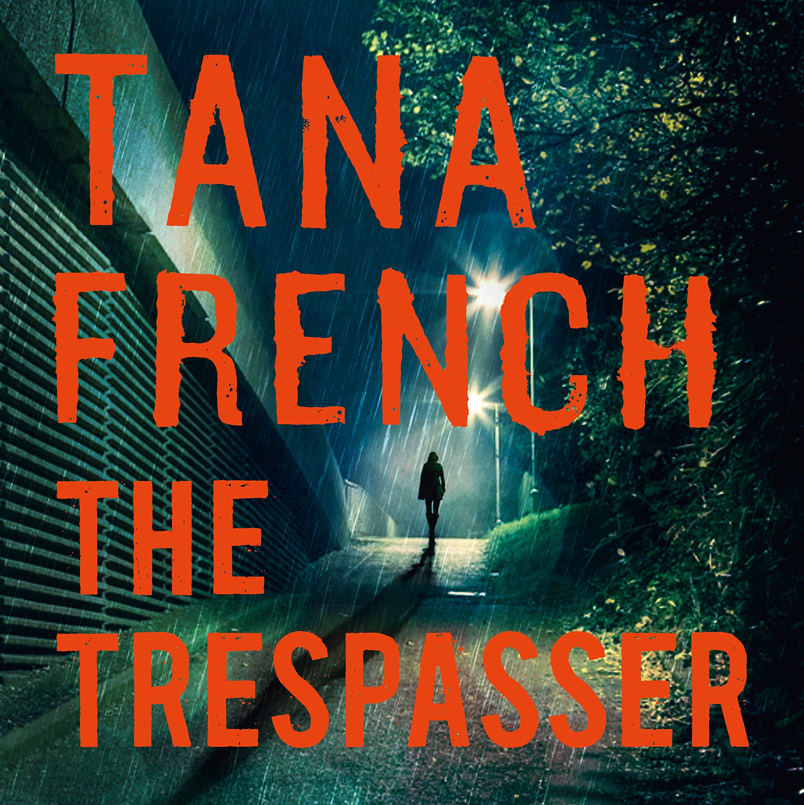 The Trespasser: Dublin Murder Squad 6 by Tana French | Goodreads