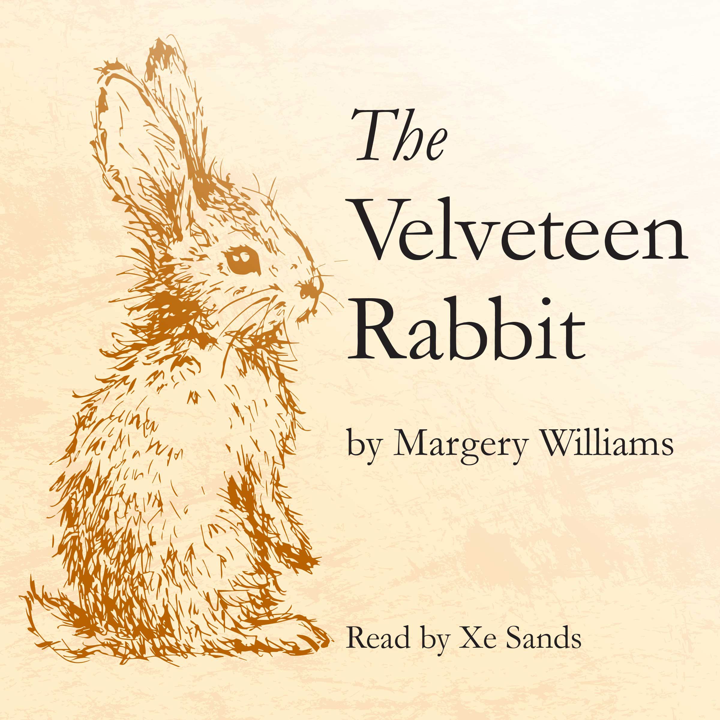 The Velveteen Rabbit by Margery Williams | Goodreads