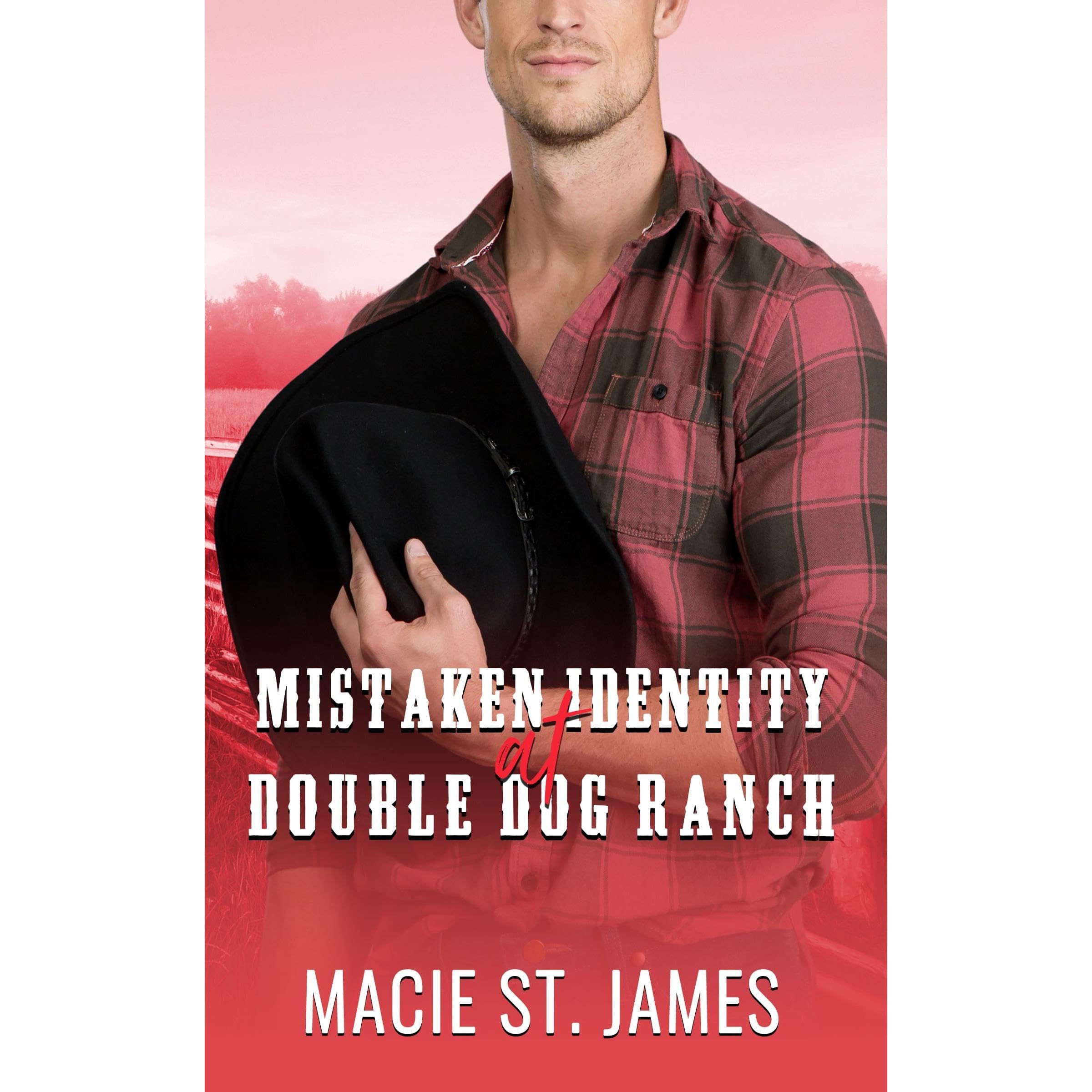 Mistaken Identity at Double Dog Ranch: A Clean Contemporary Western ...