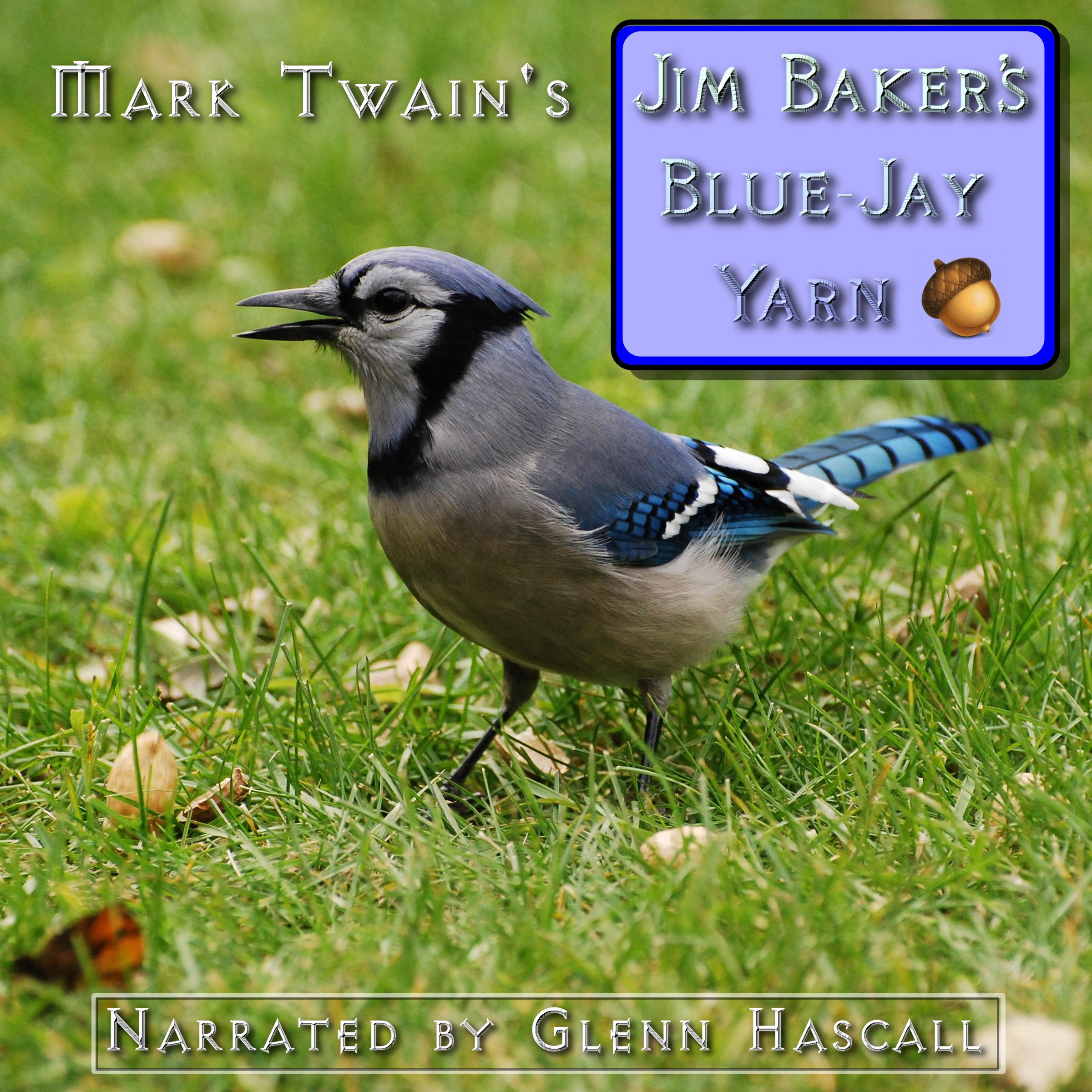 Jim Baker's Blue-Jay Yarn by Mark Twain | Goodreads