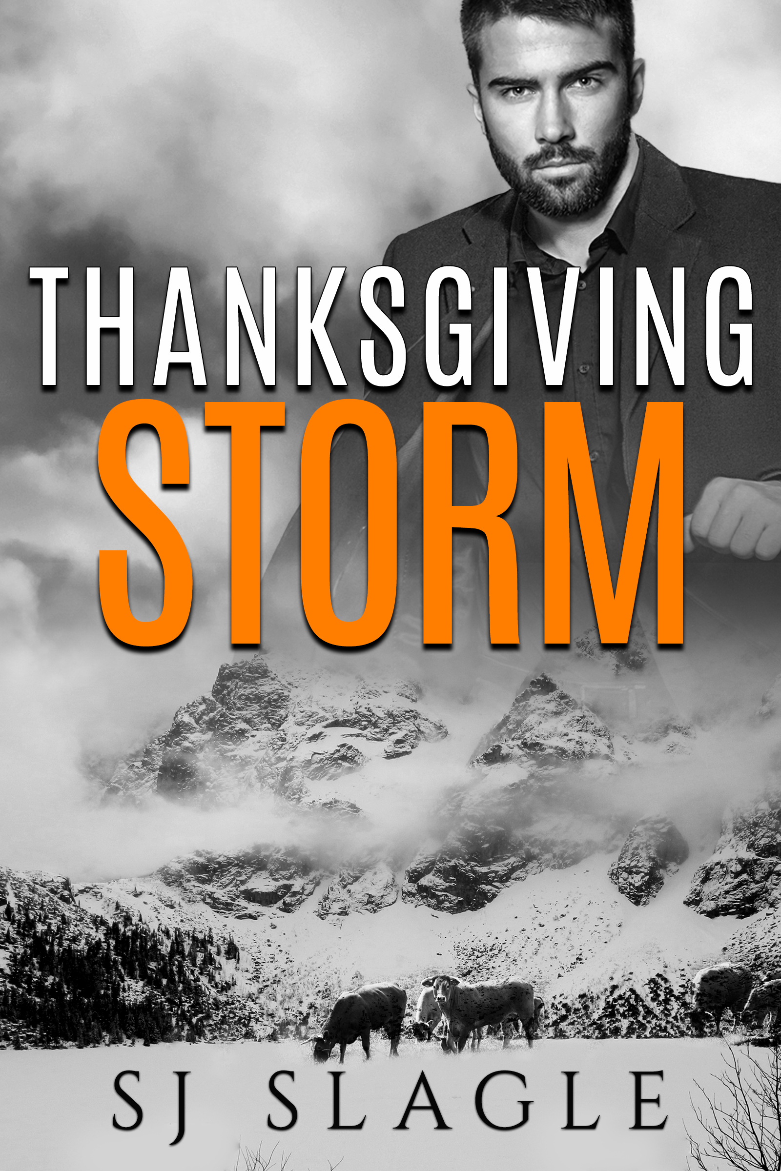 Thanksgiving Storm by S.J. Slagle | Goodreads