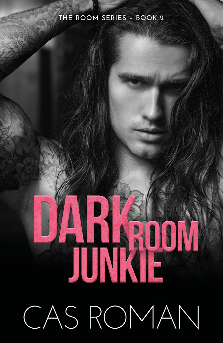 Dark Room Junkie: A Too Many Secrets And Second Chance MM Romance by ...