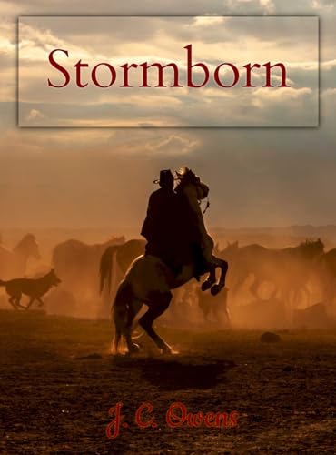 Stormborn (Poplar Ridge Ranch Book 2) by J.C. Owens | Goodreads