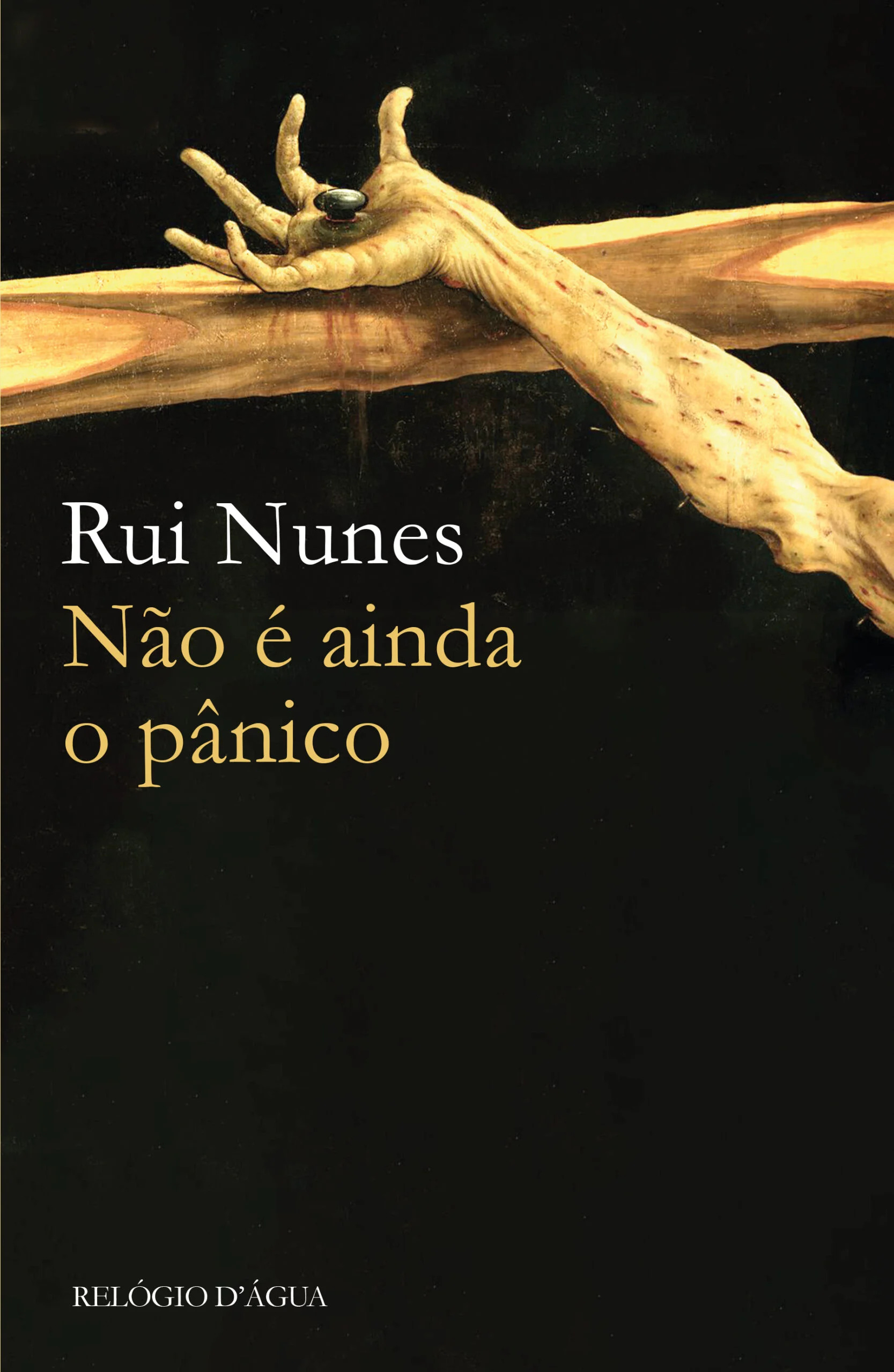 Não é ainda o pânico by Rui Nunes | Goodreads