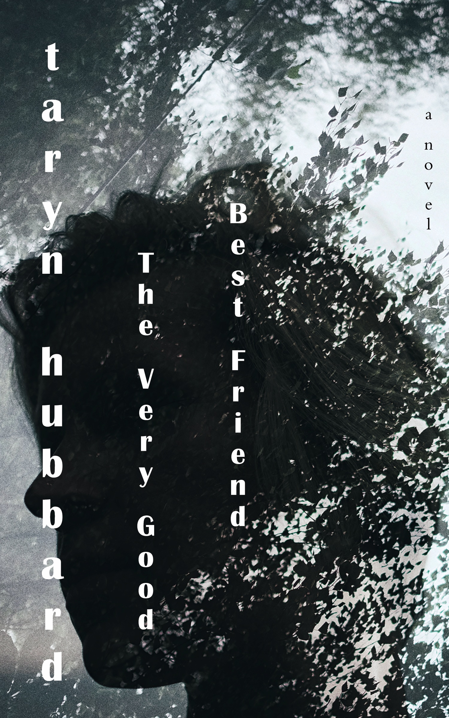 The Very Good Best Friend by Taryn Hubbard | Goodreads