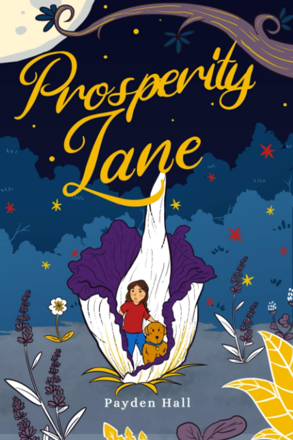 Prosperity Lane by Payden Hall | Goodreads