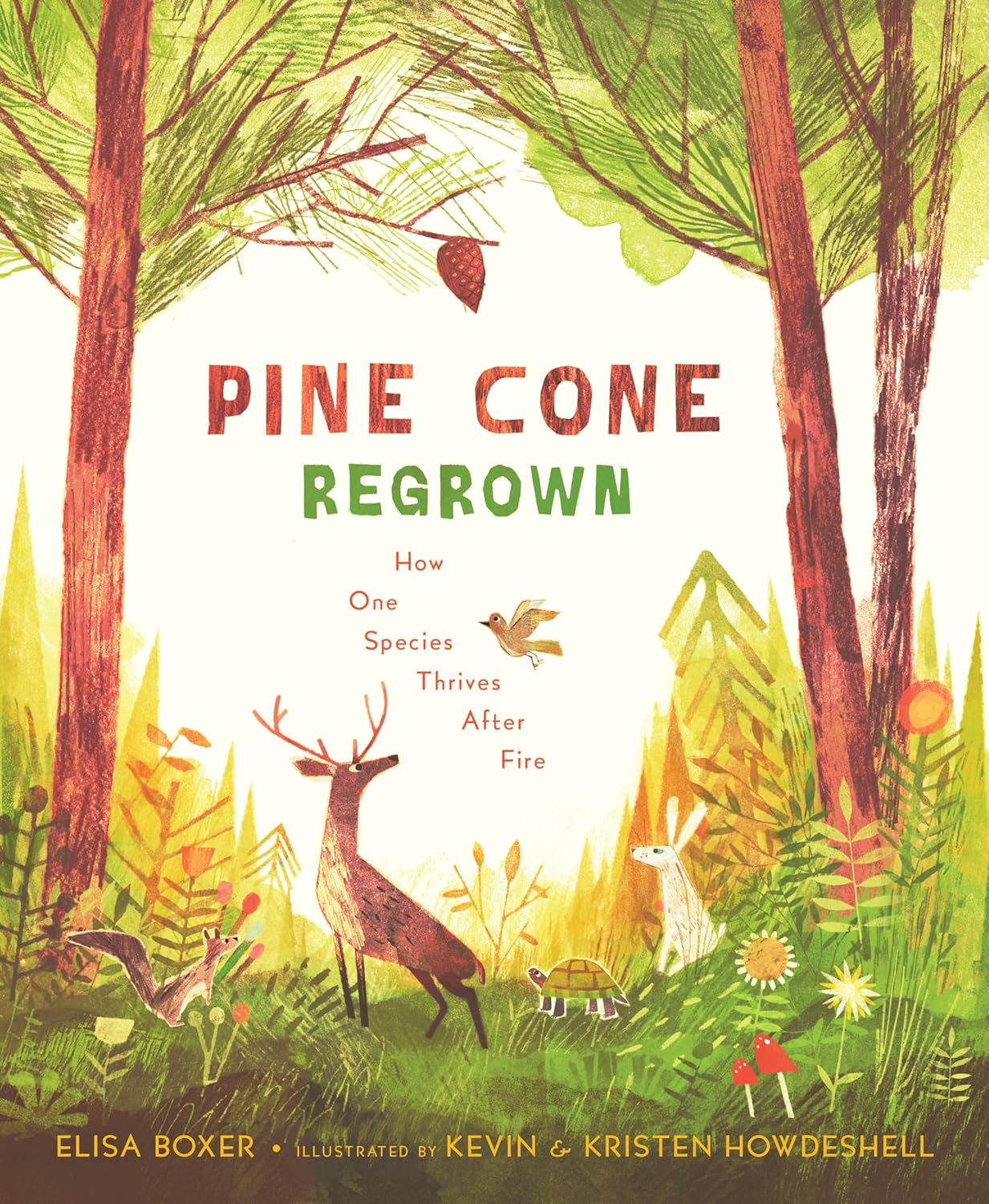 Pine Cone Regrown: How One Species Thrives After Fire by Elisa Boxer ...