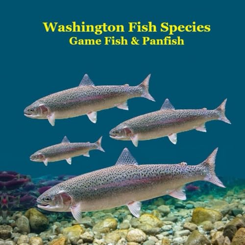 Washington State Game Fish and Panfish Species Kids Book: Great Book ...