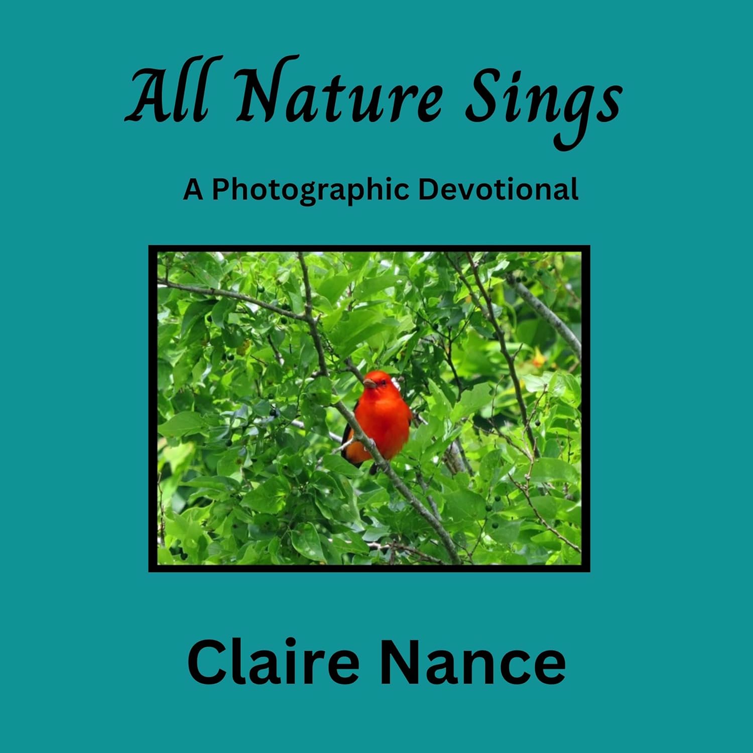 All Nature Sings: A Photographic Devotional by Claire Nance | Goodreads