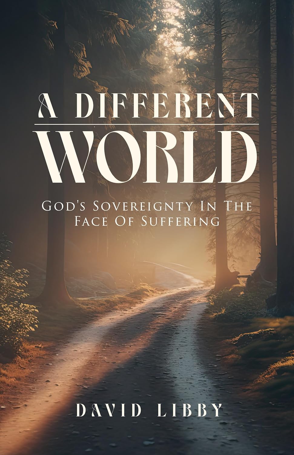 A Different World: God's Sovereignty in the Face of Suffering by David Libby | Goodreads