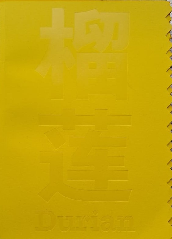 Durian-Durian: the First Trans-Southeast Asia Triennial by Wang ...