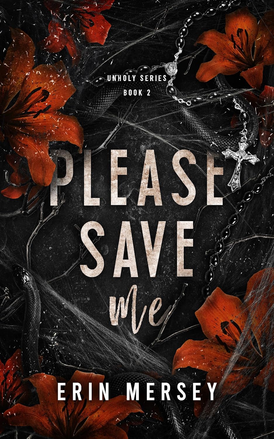 Please Save Me (The Unholy, #2) by Erin Mersey | Goodreads