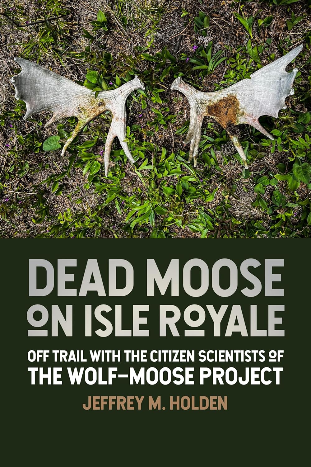 Dead Moose on Isle Royale: Off Trail with the Citizen Scientists of the ...