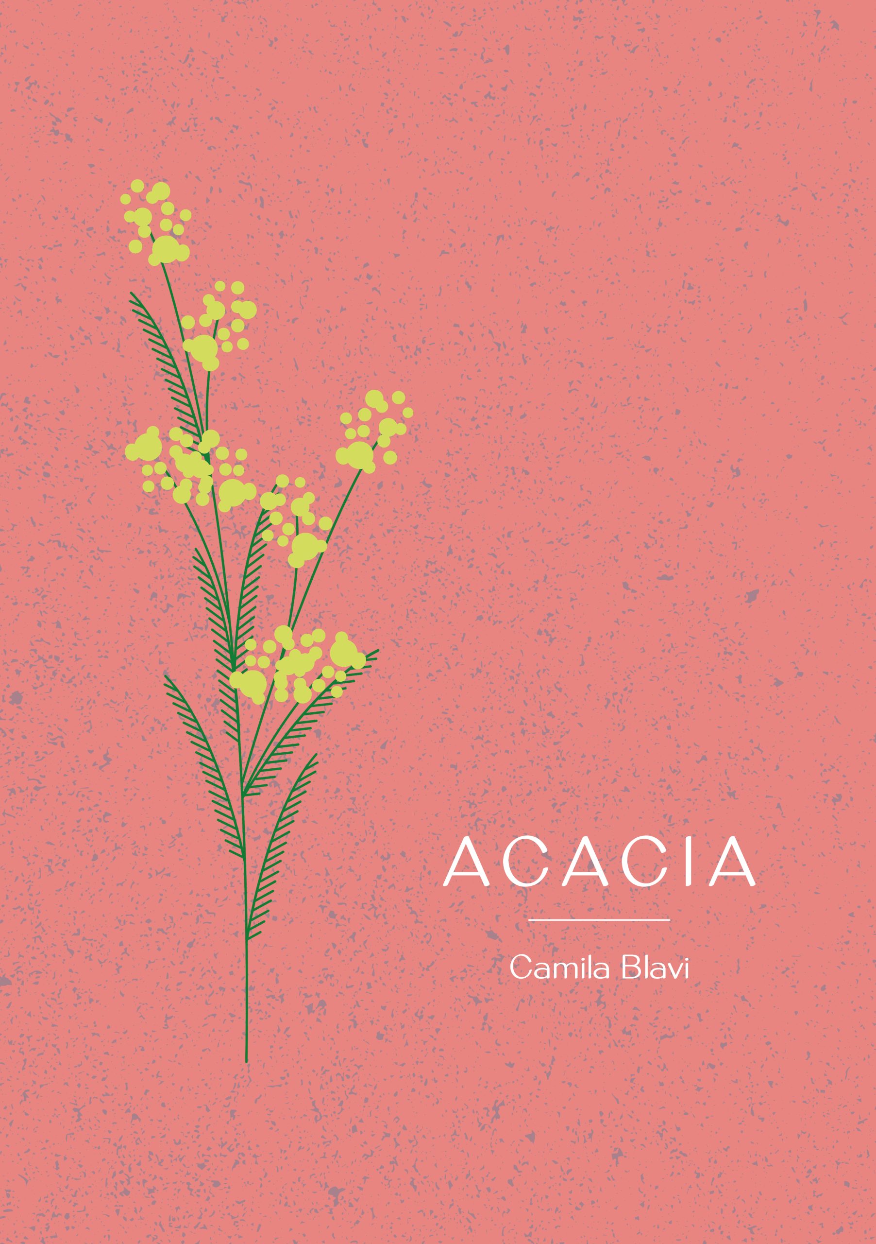 Acacia by Camila Blavi | Goodreads