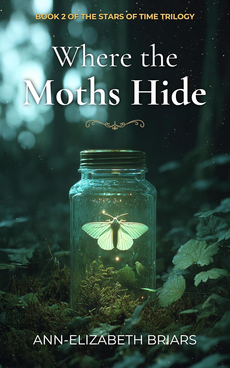 Where the Moths Hide (The Stars of Time #2) by Ann-Elizabeth Briars ...