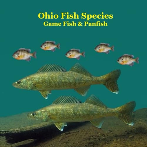 Ohio Game Fish and Panfish Species Kids Book: Great Book About the ...