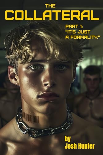 The Collateral -- Part 1: "It's just a formality.": dystopian straight ...