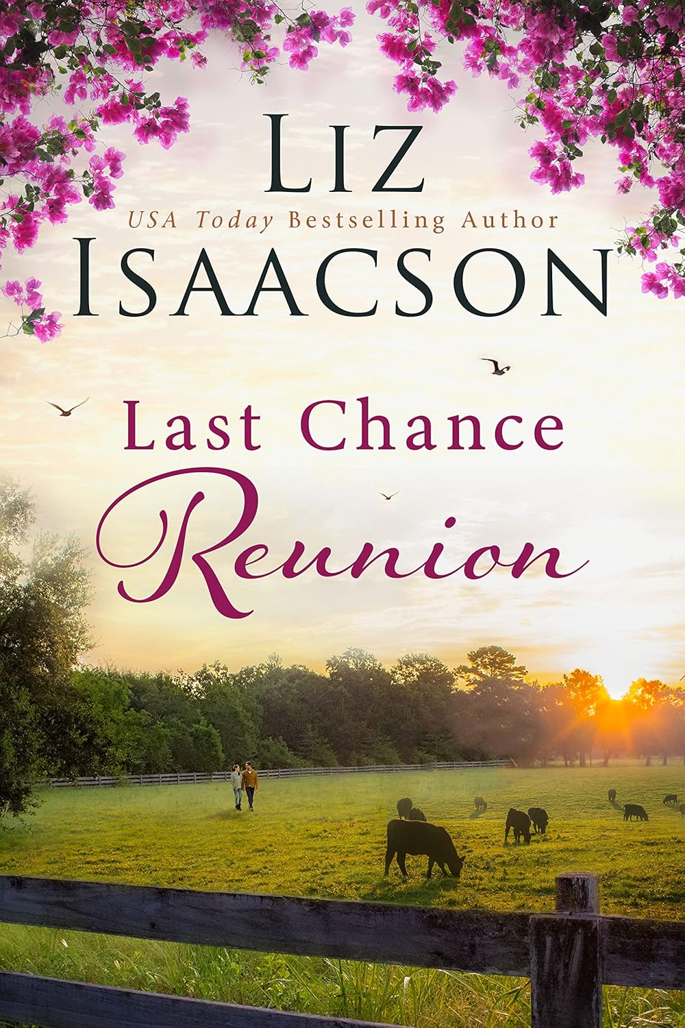 Last Chance Reunion (Last Chance Ranch #4) by Liz Isaacson | Goodreads
