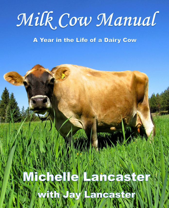 Milk Cow Manual: A Year in the Life of a Dairy Cow by Michelle ...