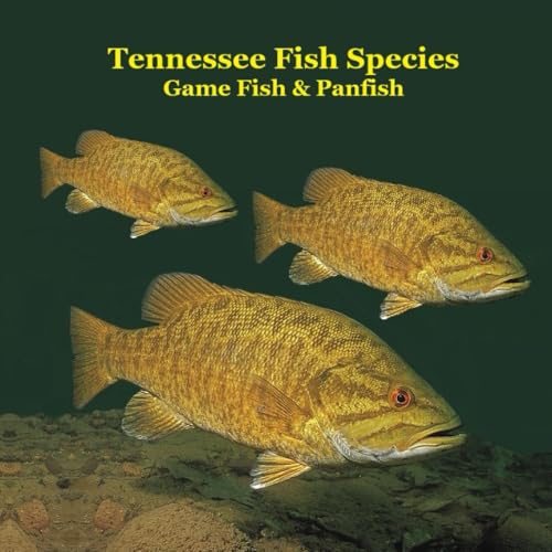 Tennessee Game Fish and Panfish Species Kids Book: Great Book About the ...