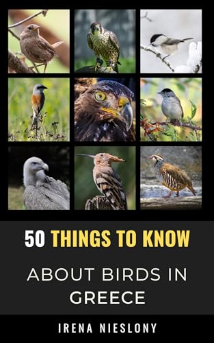 50 Things to Know About Birds in Greece : Birding In the Hellenic Haven ...