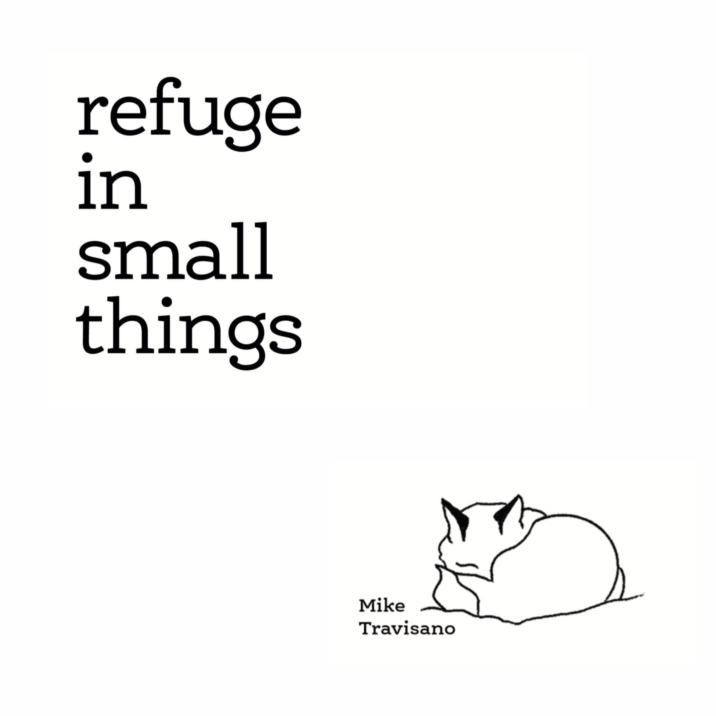 Refuge in Small Things by Mike Travisano | Goodreads