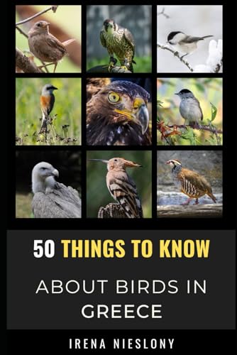 50 Things to Know About Birds in Greece: Birding In the Hellenic Haven ...