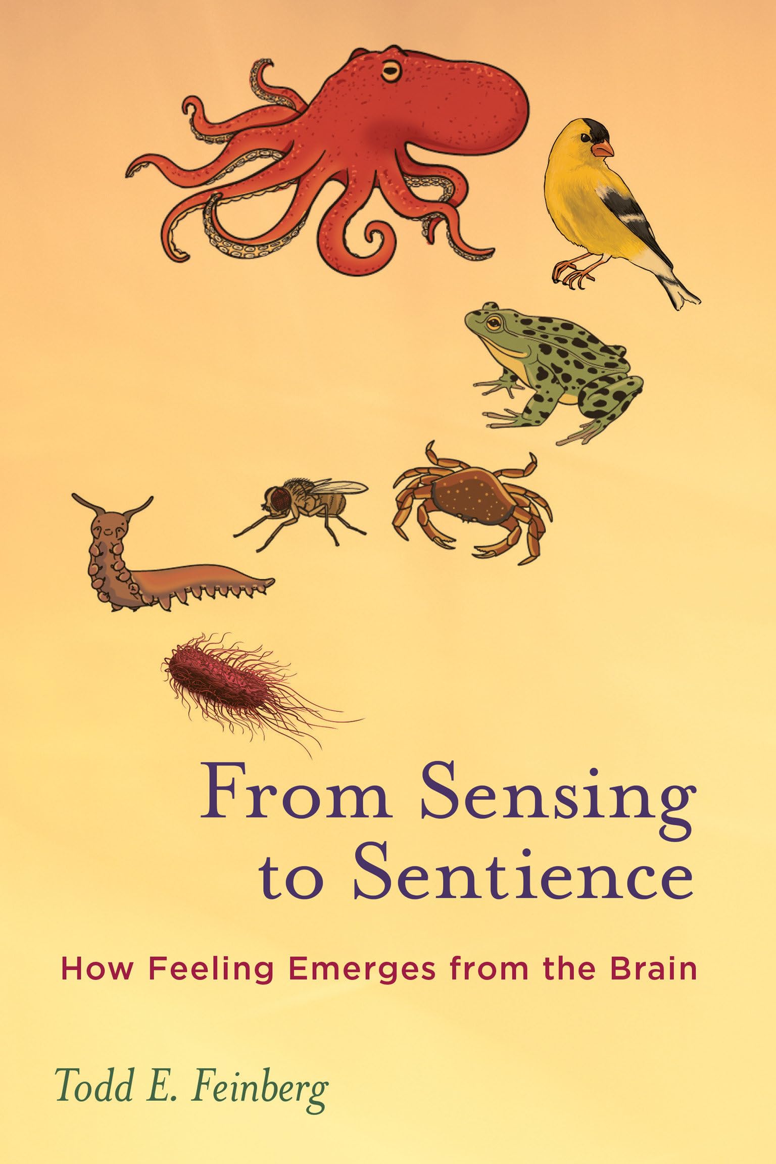 From Sensing to Sentience: How Feeling Emerges from the Brain by Todd E ...