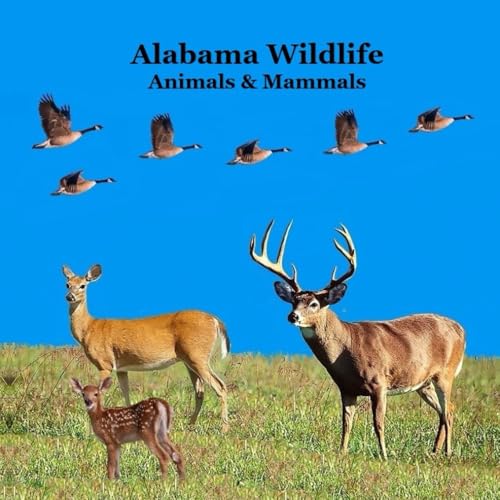 Alabama Animals and Mammals Kids Wildlife Book: Great Wildlife Book ...