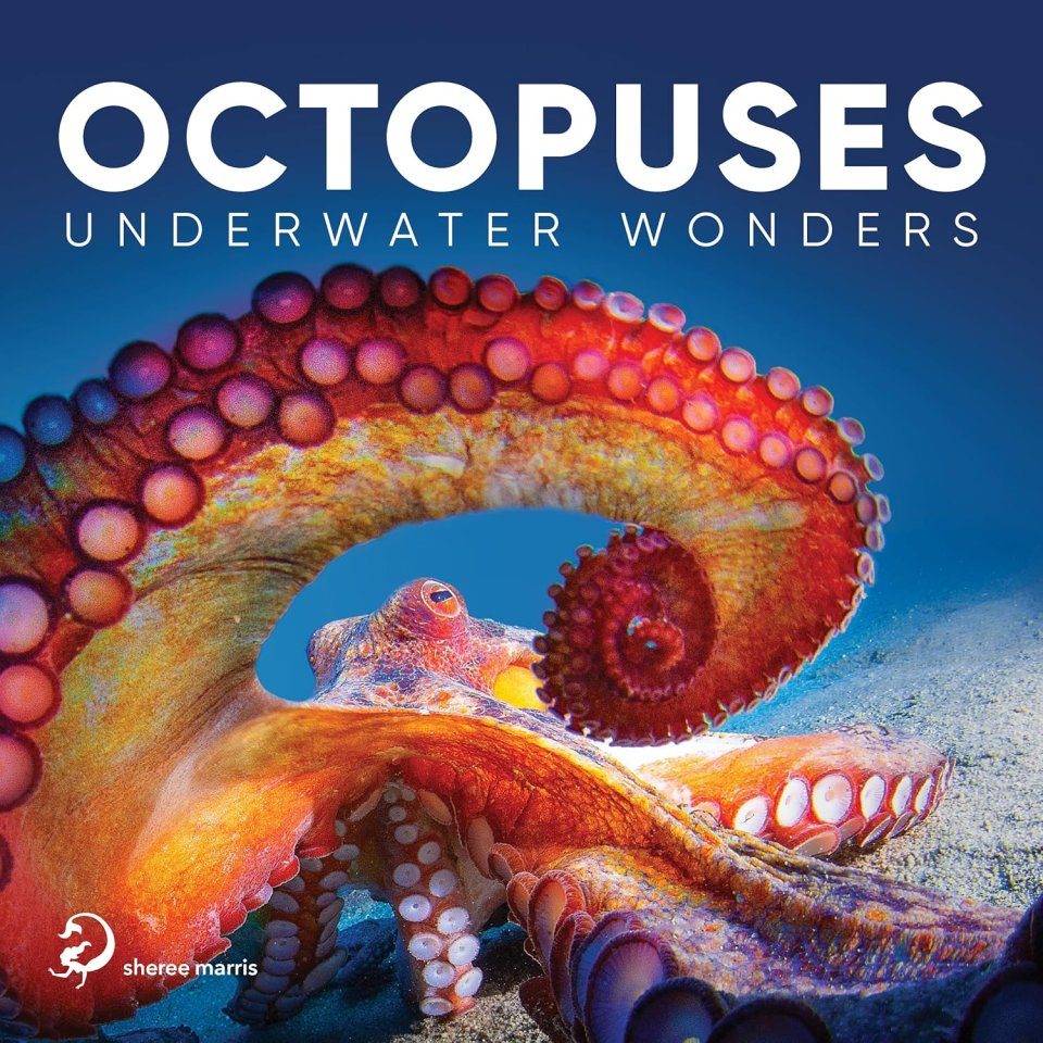 Octopuses - Underwater Wonders by Sheree Marris | Goodreads