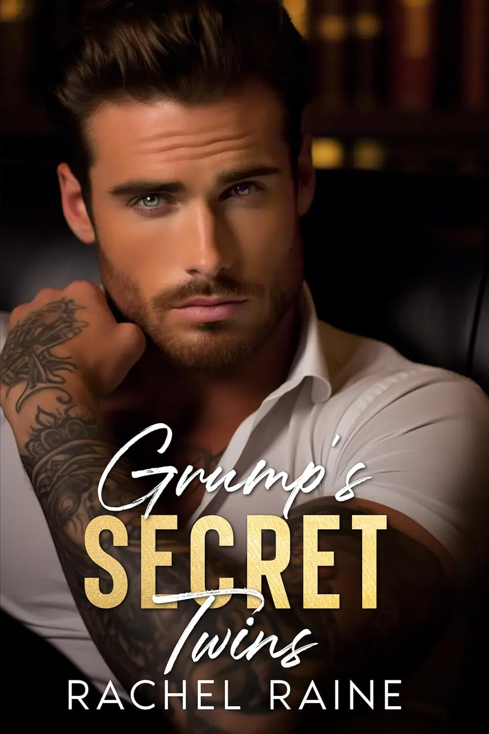 Grump's Secret Twins by Rachel Raine | Goodreads