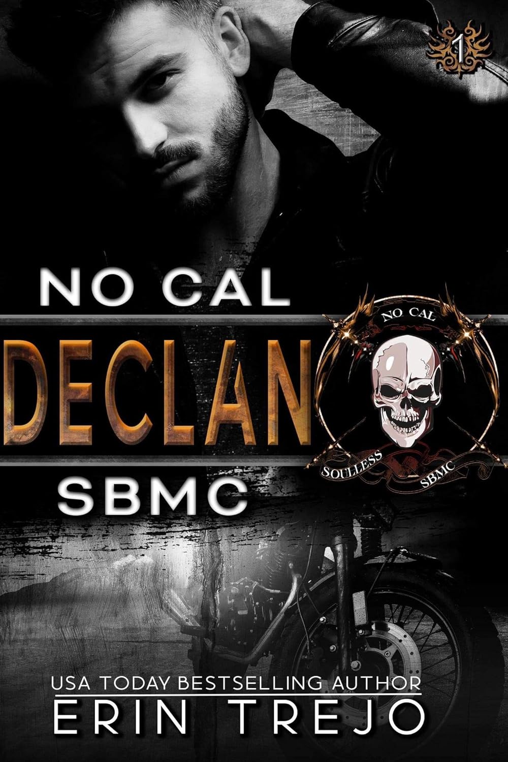 Declan (Soulless Bastards MC: No Cal, #1) by Erin Trejo | Goodreads