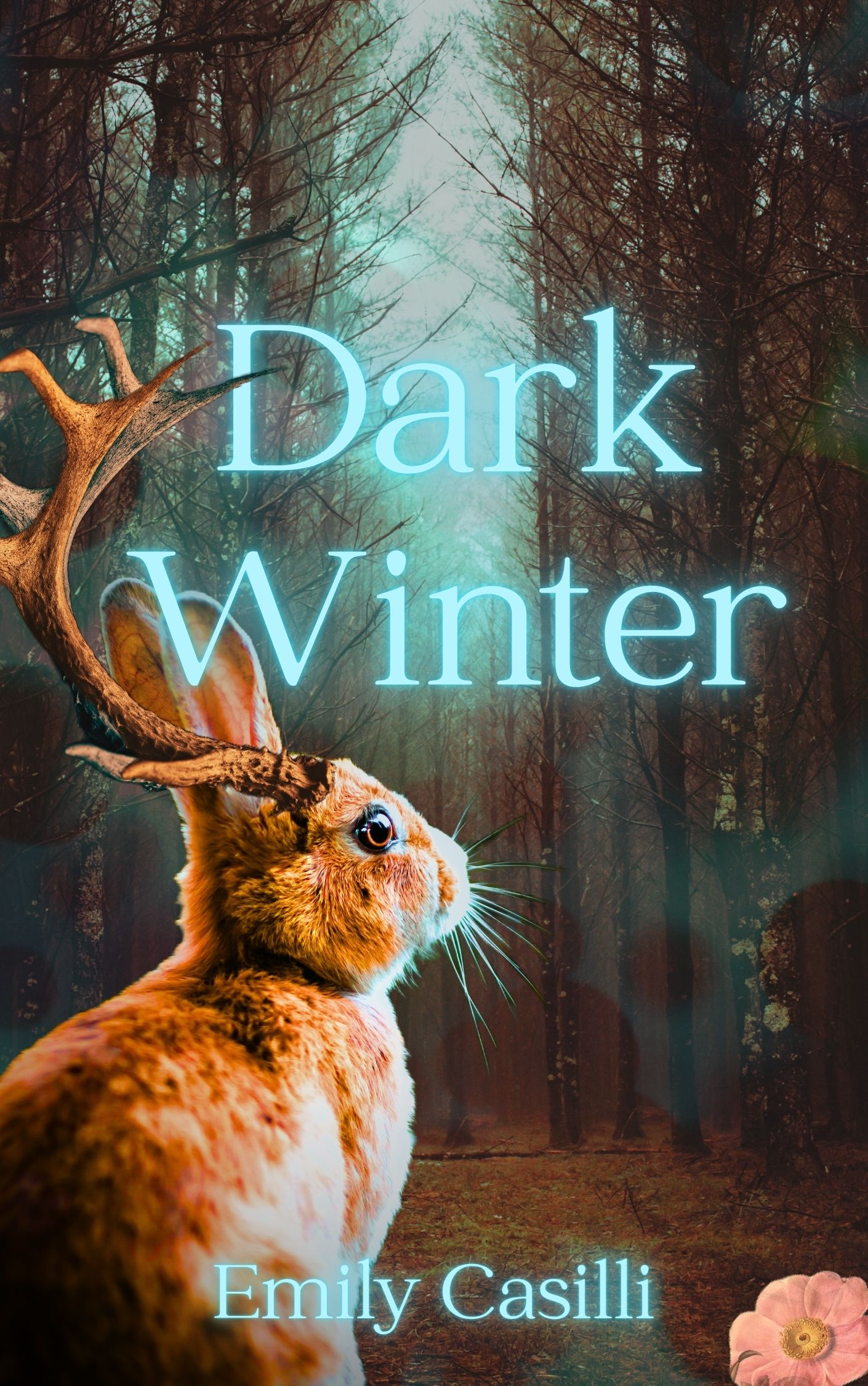 Dark Winter by Emily Casilli | Goodreads