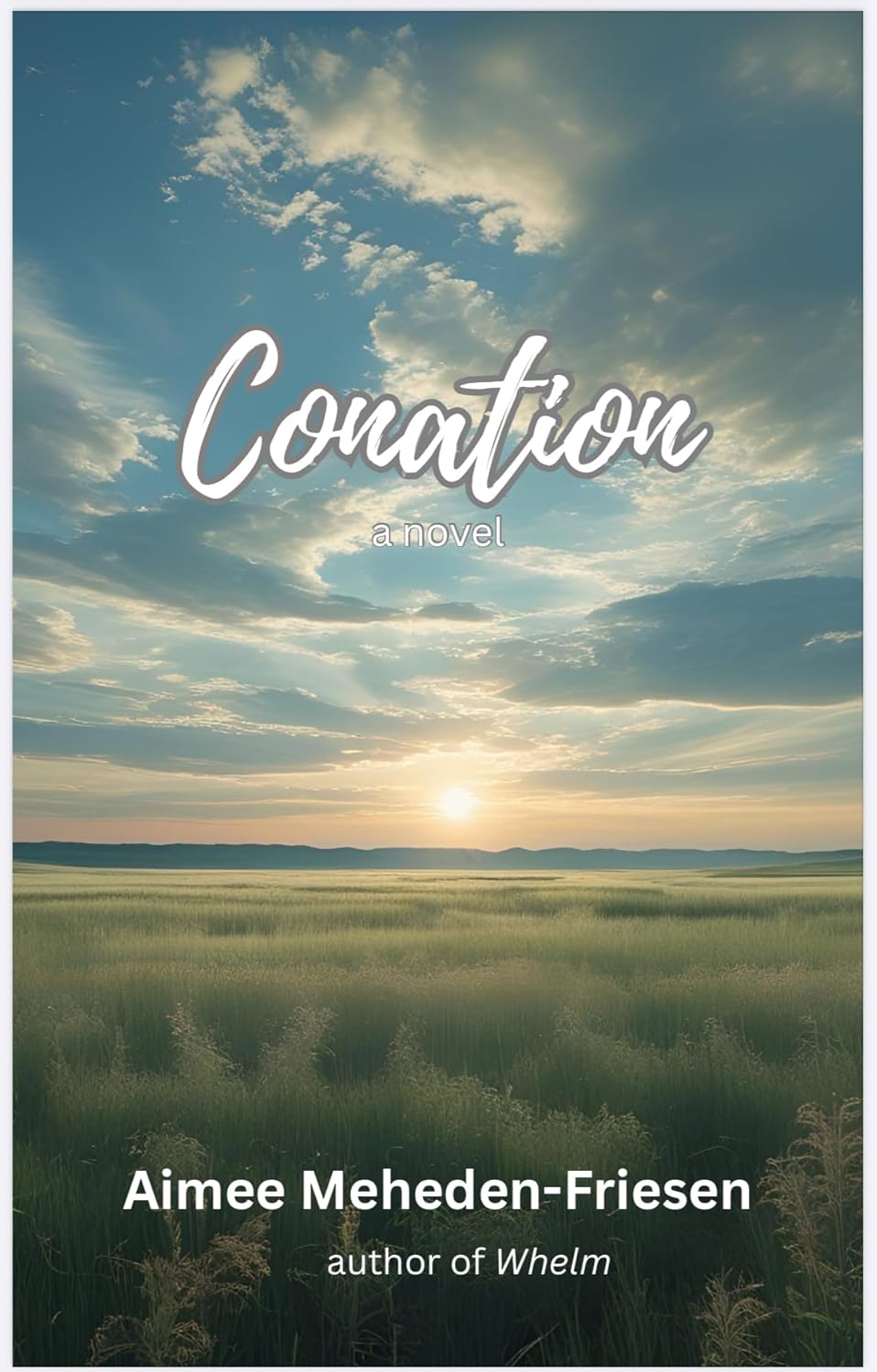 Conation by Aimee Meheden-Friesen | Goodreads